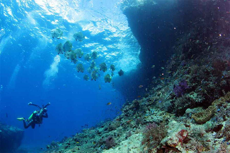 Try Now Bali Activities Tour To Fulfill Your Best Vacation! | Bali Fun ...